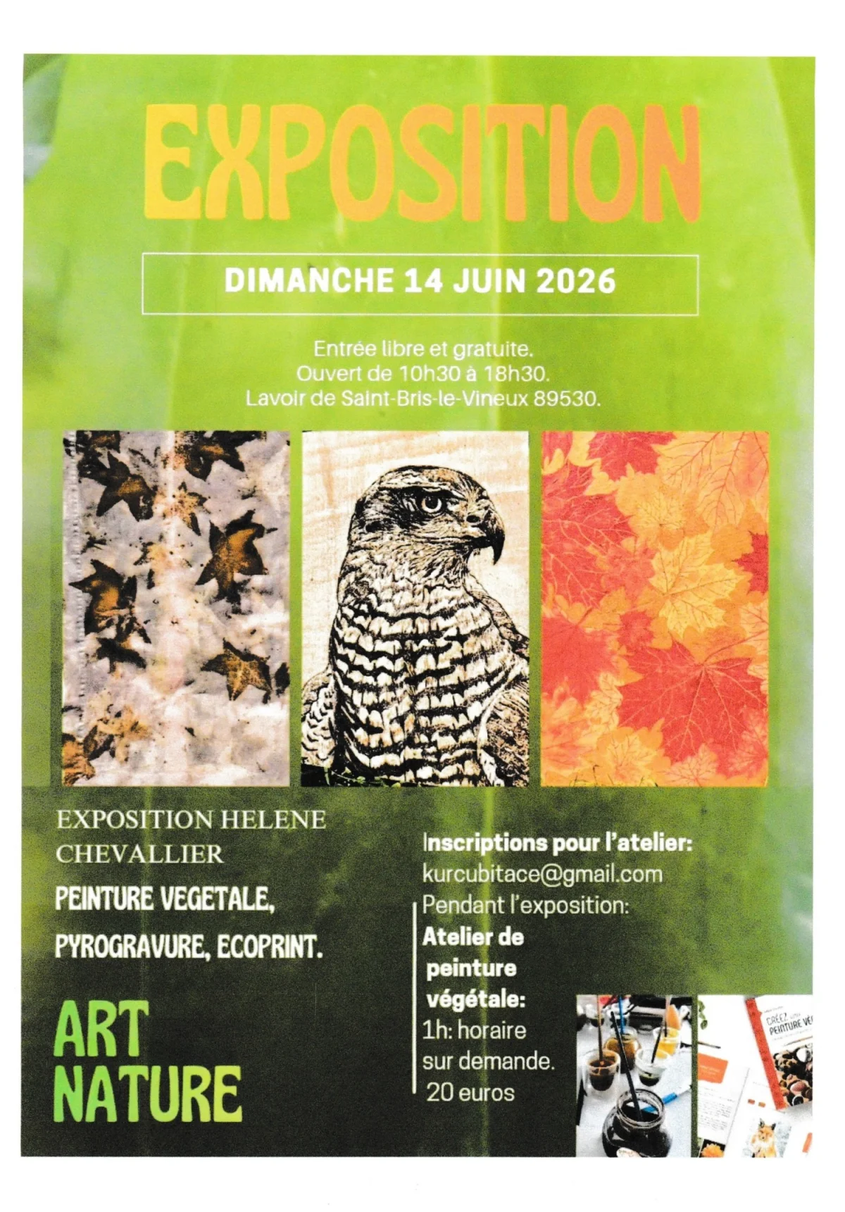 Exposition "Art Nature" par Helene Chevallier (Oeuvres naturelles ...